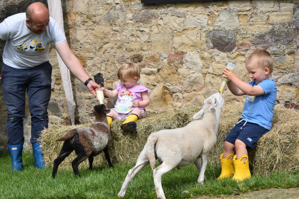 Jedburgh.org.uk | Events in Jedburgh